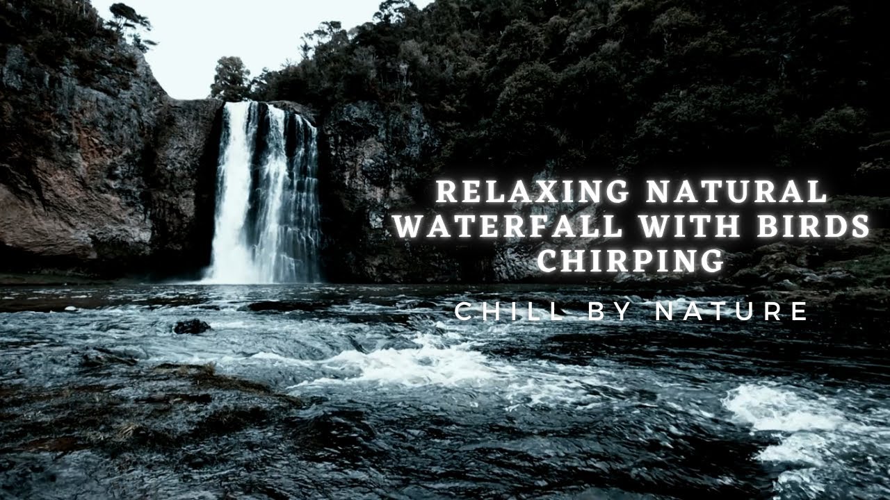 1 Hour Relaxing Waterfall With Birds Chirping Sound White Noise Sleep