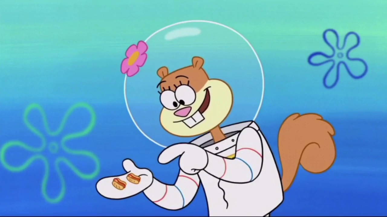 Squirrel Jelly Clip Youtube