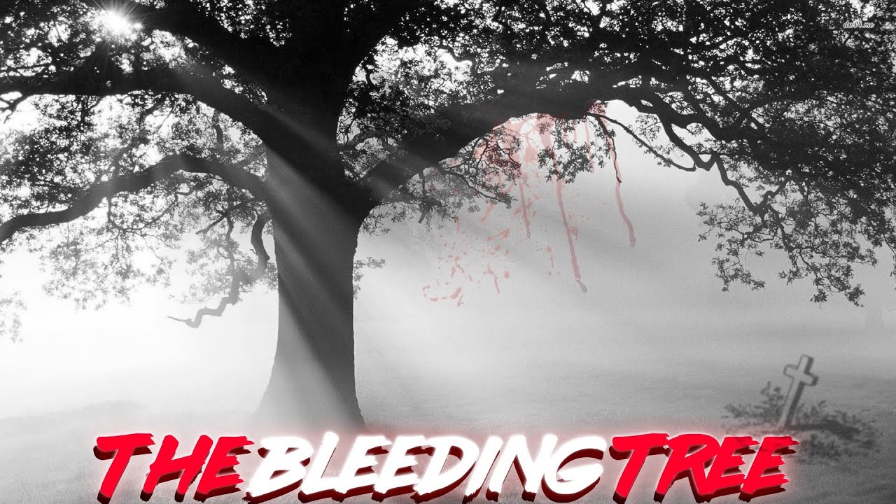 The Bleeding Tree Creepypasta Youtube