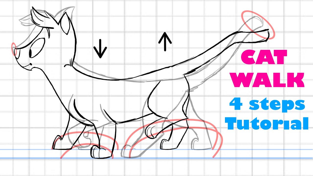 Cat Walk Animation Tutorial Youtube
