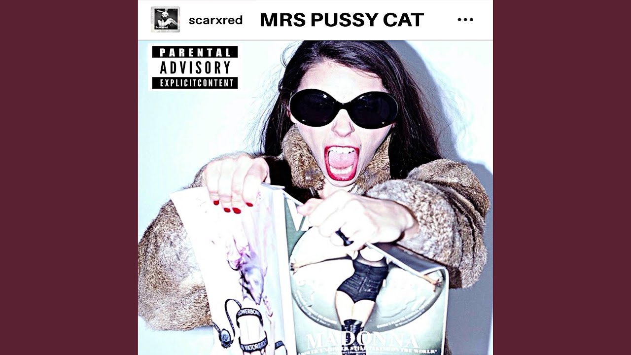 Mrs Pussy Cat Youtube