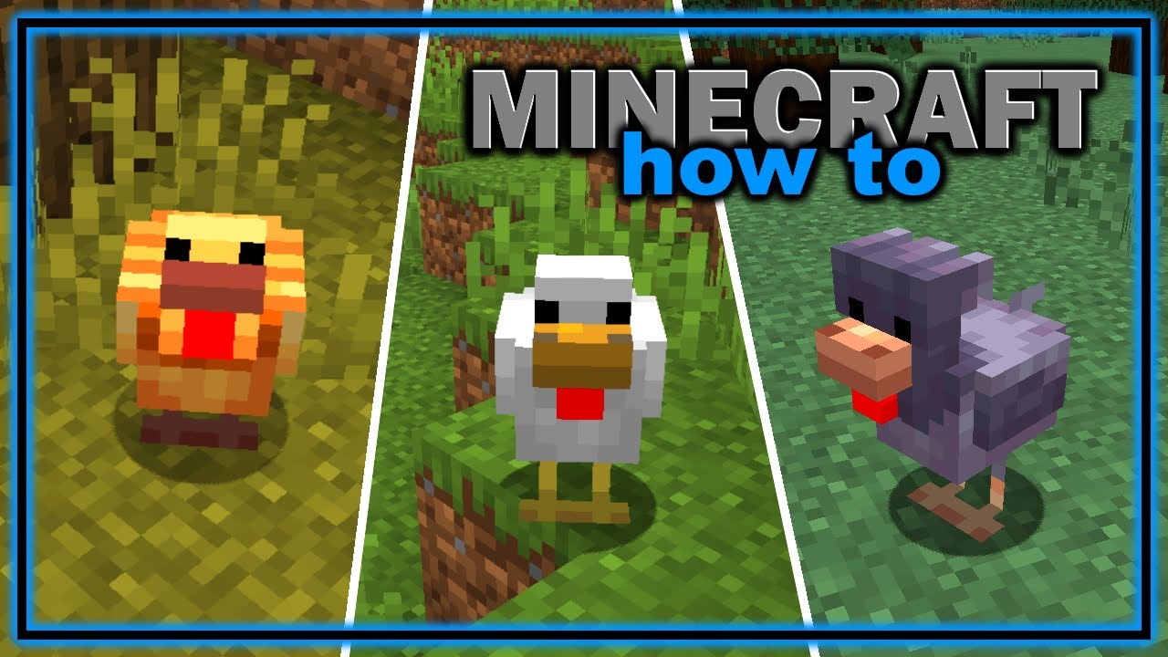 Everything You Need To Know About The Chicken 1 21 5 Easy