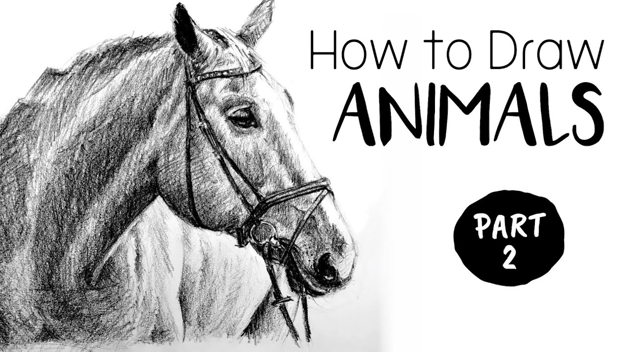 How To Draw Sketch Animals Part 2 Youtube