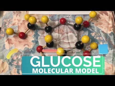 Glucose Molecule Model Glucose Isomer Molecular Models As Tools For