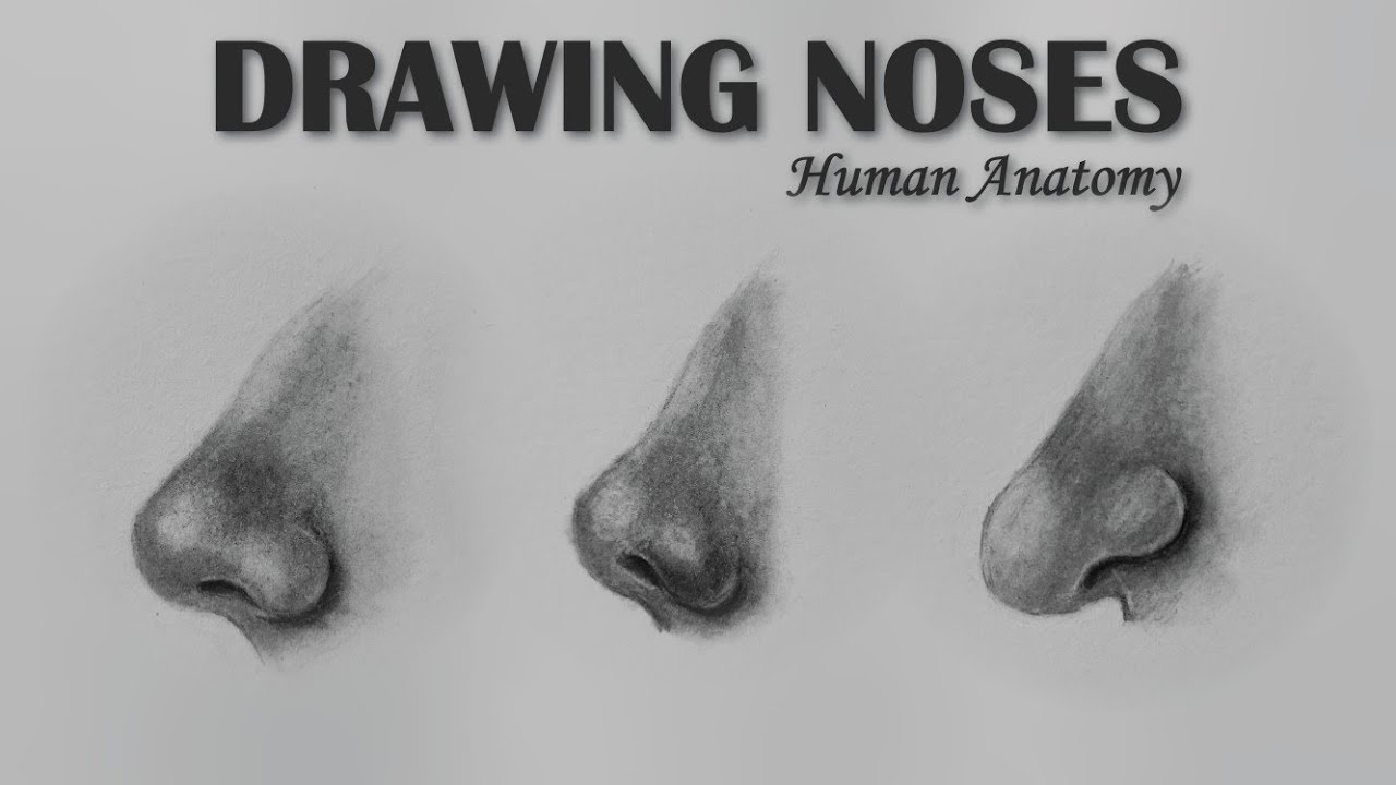 Nose Profile Drawing How To Draw A Side Profile Easy Step By Step Art