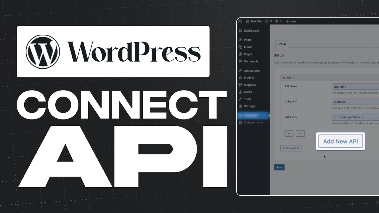 How To Connect Api With Wordpress Full Guide Youtube