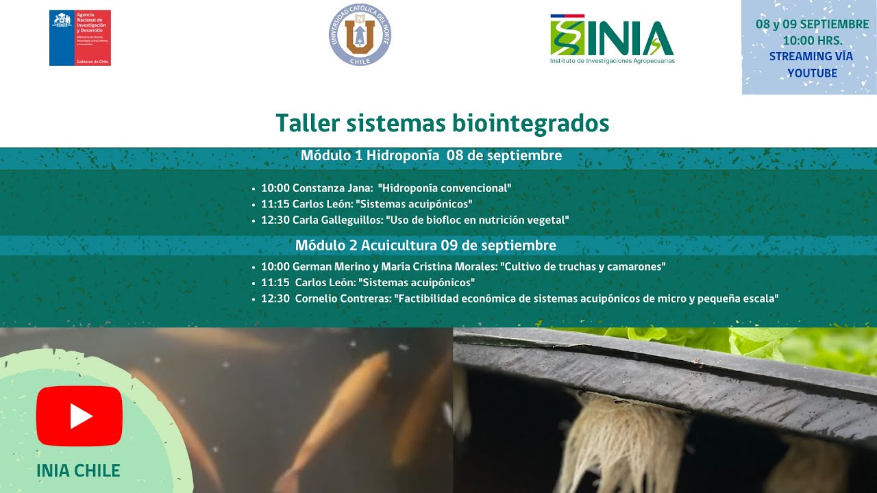 Taller Sistemas Biointegrados Módulo 1 Youtube