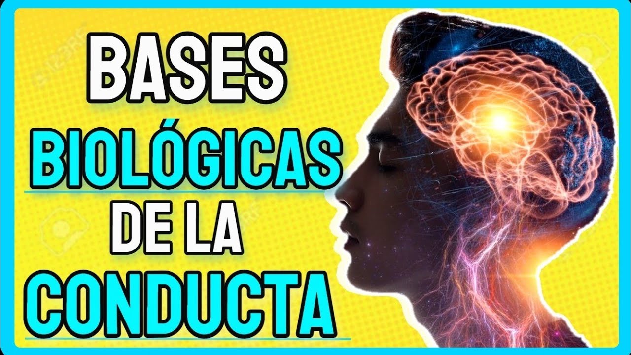 Cuales Son Las Bases Biologicas De La Conducta Humana Bien
