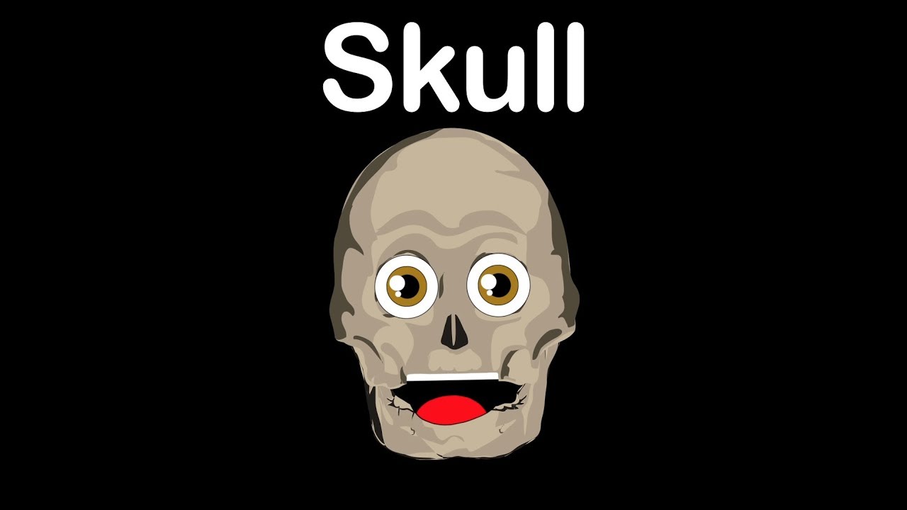 Human Body Skull Bones Skull Song Youtube