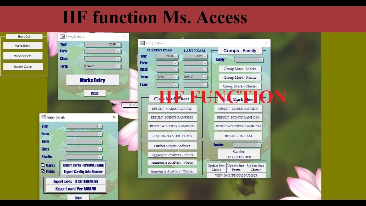 Iif Function In Microsoft Access Youtube