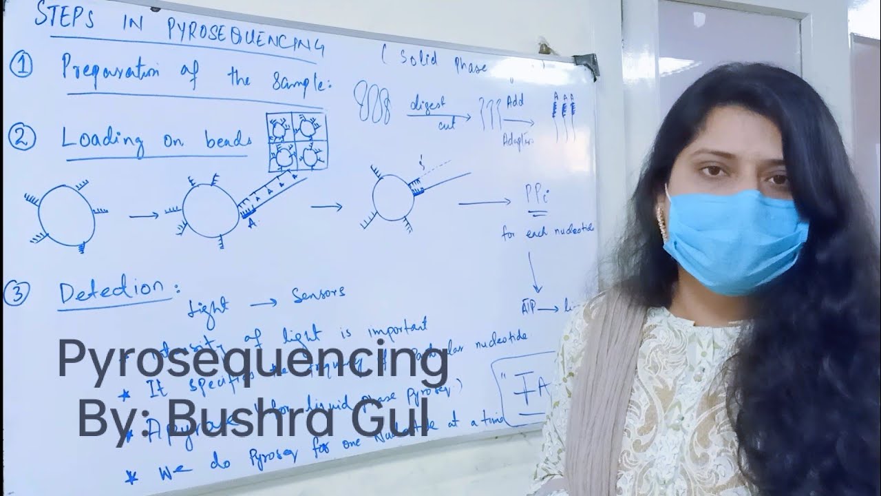 Pyrosequencing Explained Youtube