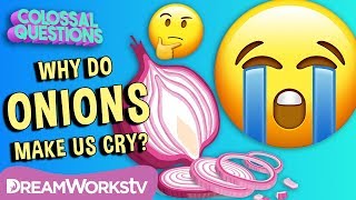 Why Do We Cry Colossal Questions Safe Videos For Kids