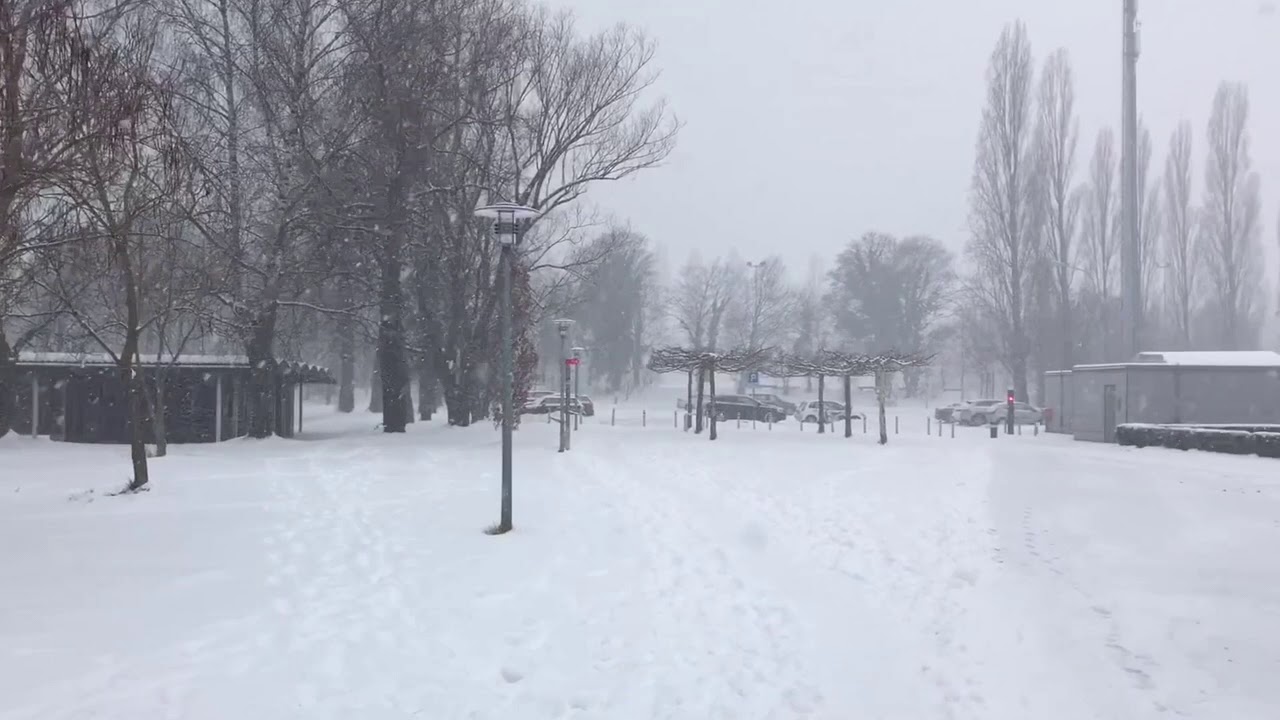 521dcca5 7d2d 40f6 9655 07b65ee903b4 Youtube