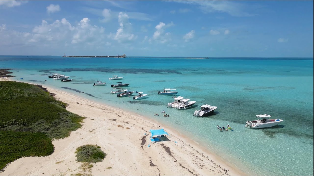 Browns Cay Bimini Bahamas 2024 Youtube