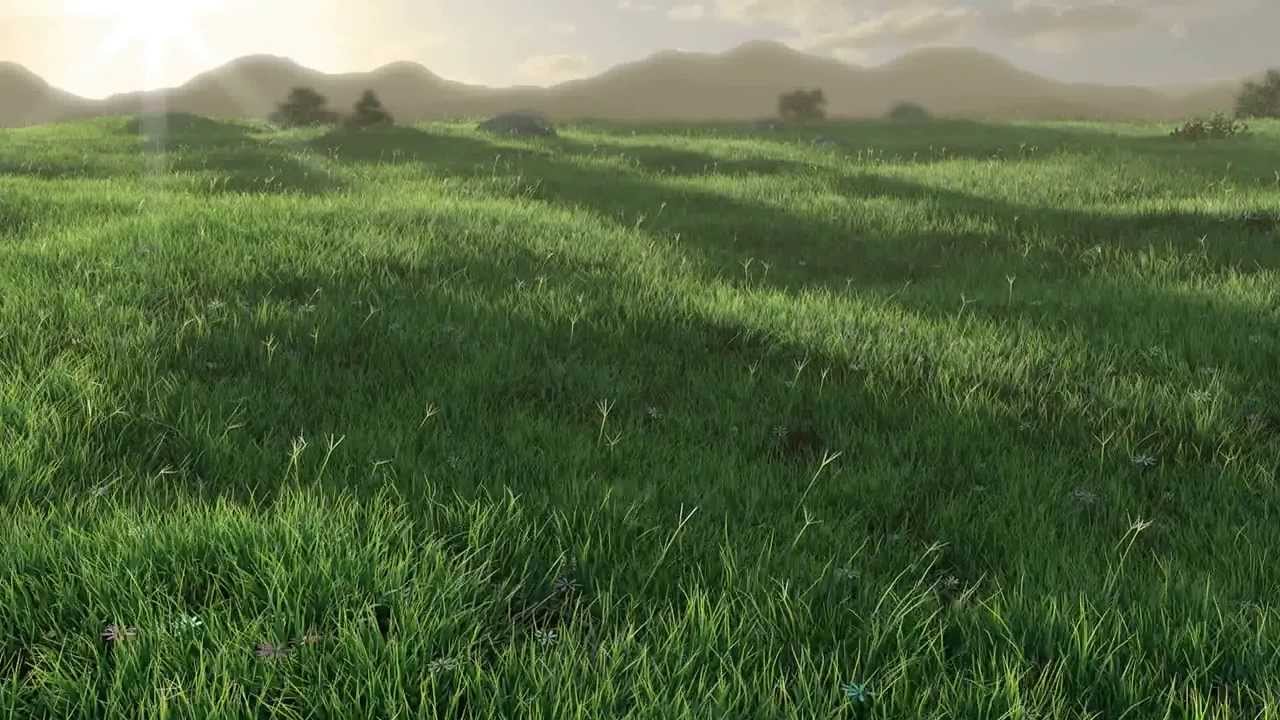 Grassy Field Animation Youtube