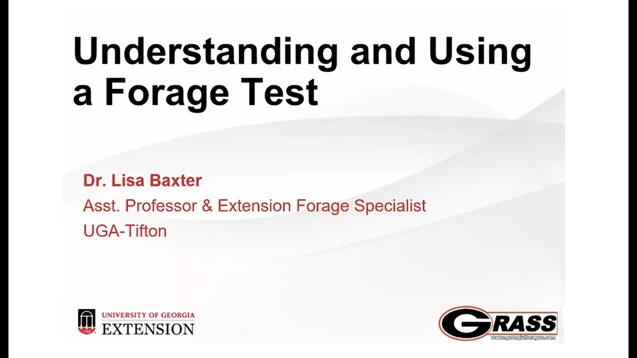 Understanding And Using A Forage Test Youtube