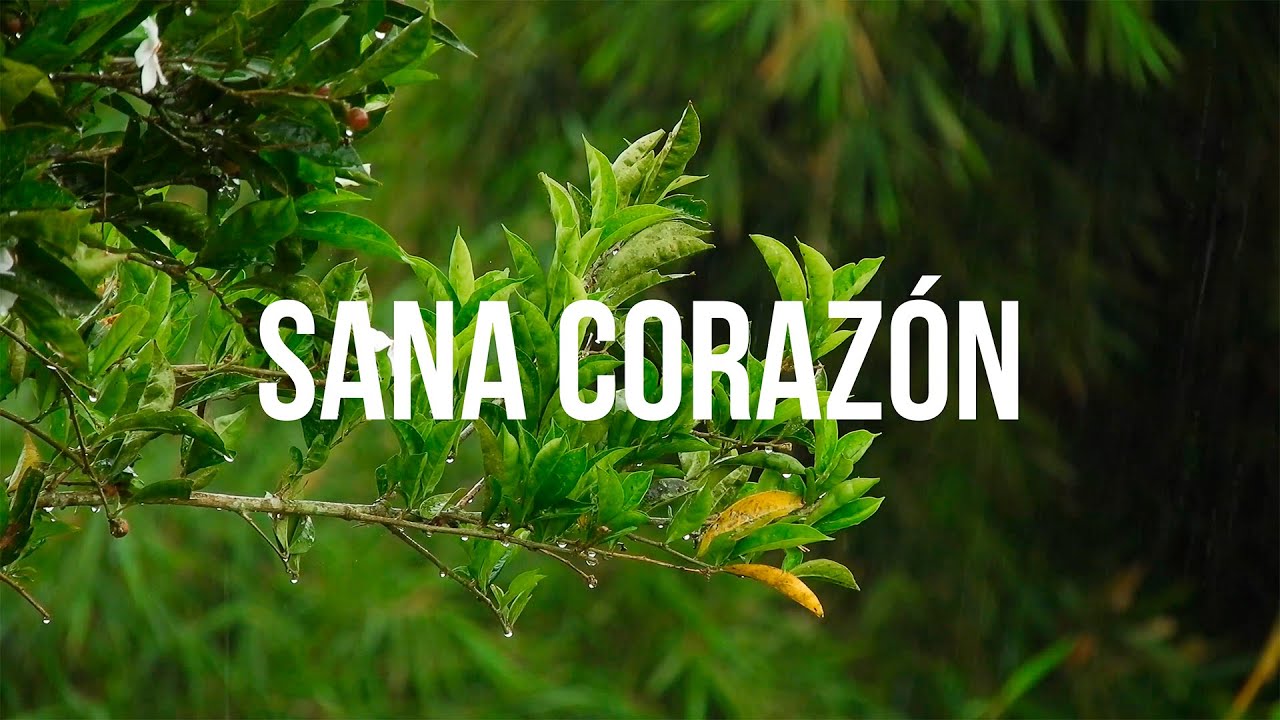 Alex Serra Sana Corazón Letra Youtube