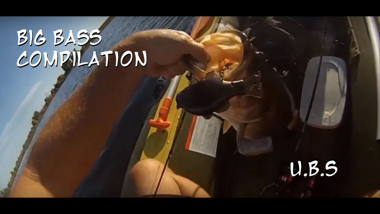 Big Bass Compilation 2018 Youtube