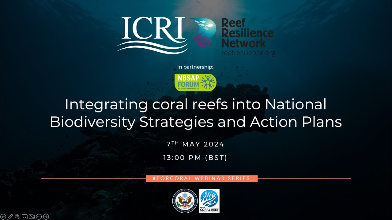 Icri Forcoral Webinar Integrating Coral Reefs Into Nbsaps Youtube