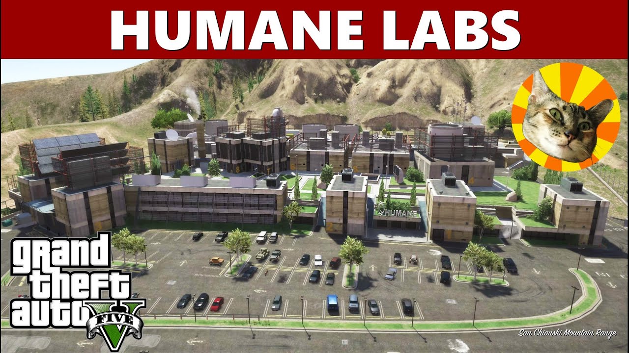 Gta Humane Labs Raid Payout At Tracy Garza Blog