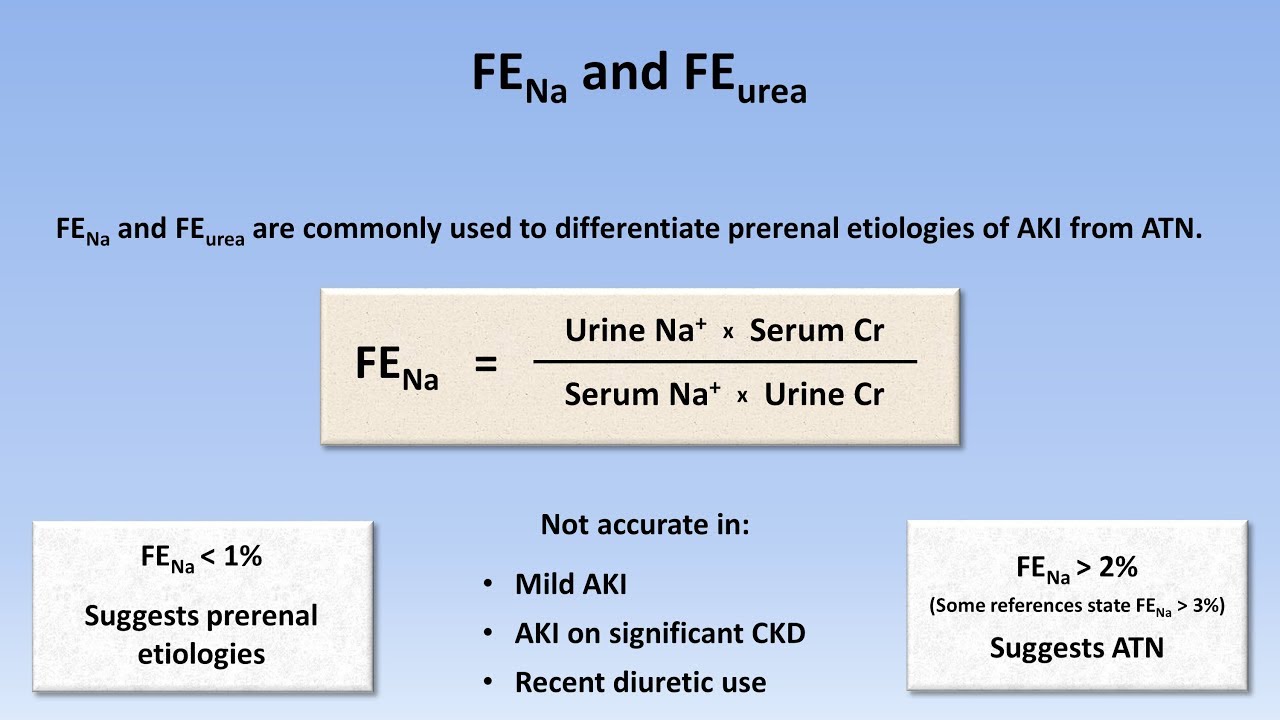 Acute Kidney Injury Part 2 3 Diagnostic Evaluation Youtube