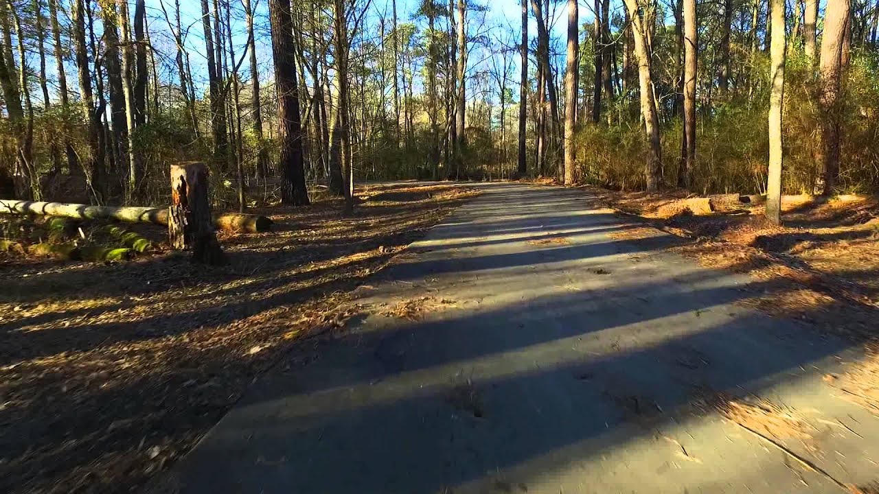 Trail Run Youtube