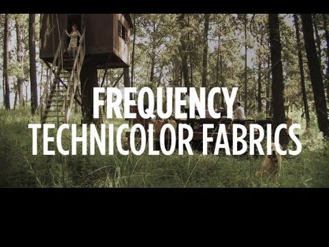 Technicolor Fabrics Frequency Letra Youtube