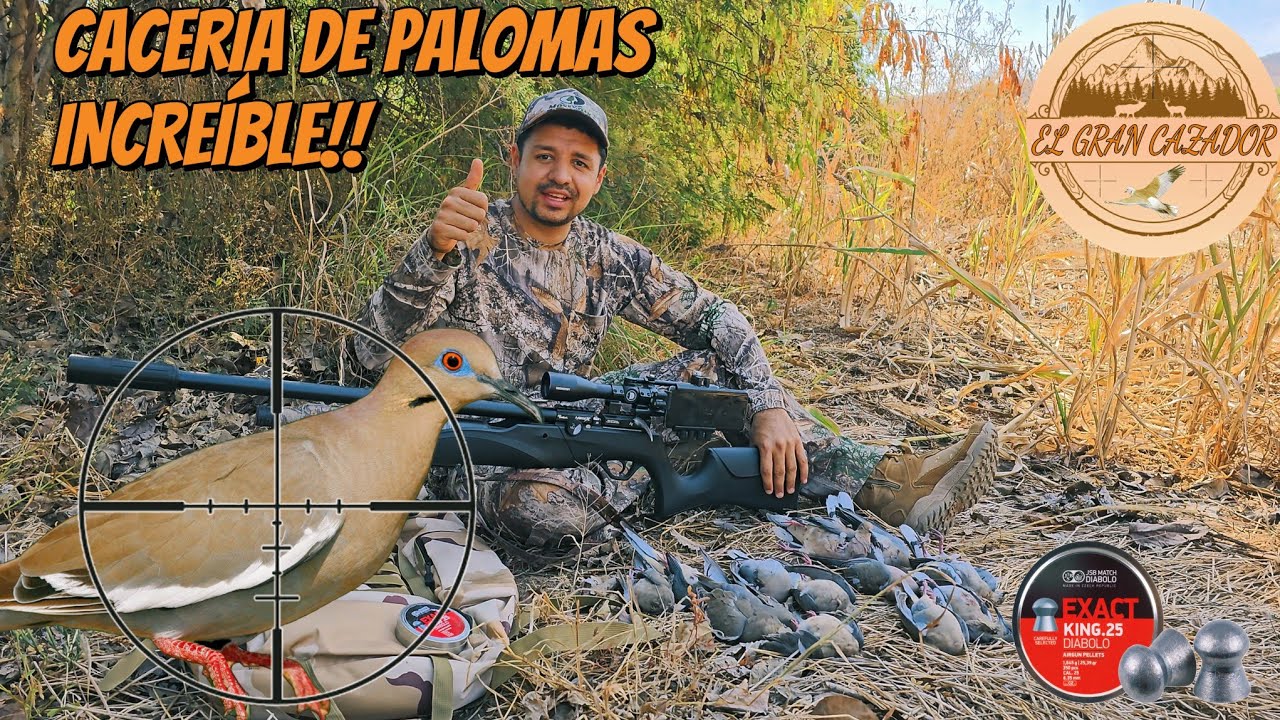 Caceria De Palomas Con Rifle De Aire Avenge X A Maxima Potencia Youtube