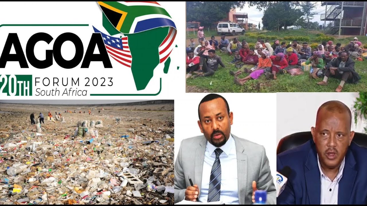 Oromia11 Oduu 11 07 2023 Youtube