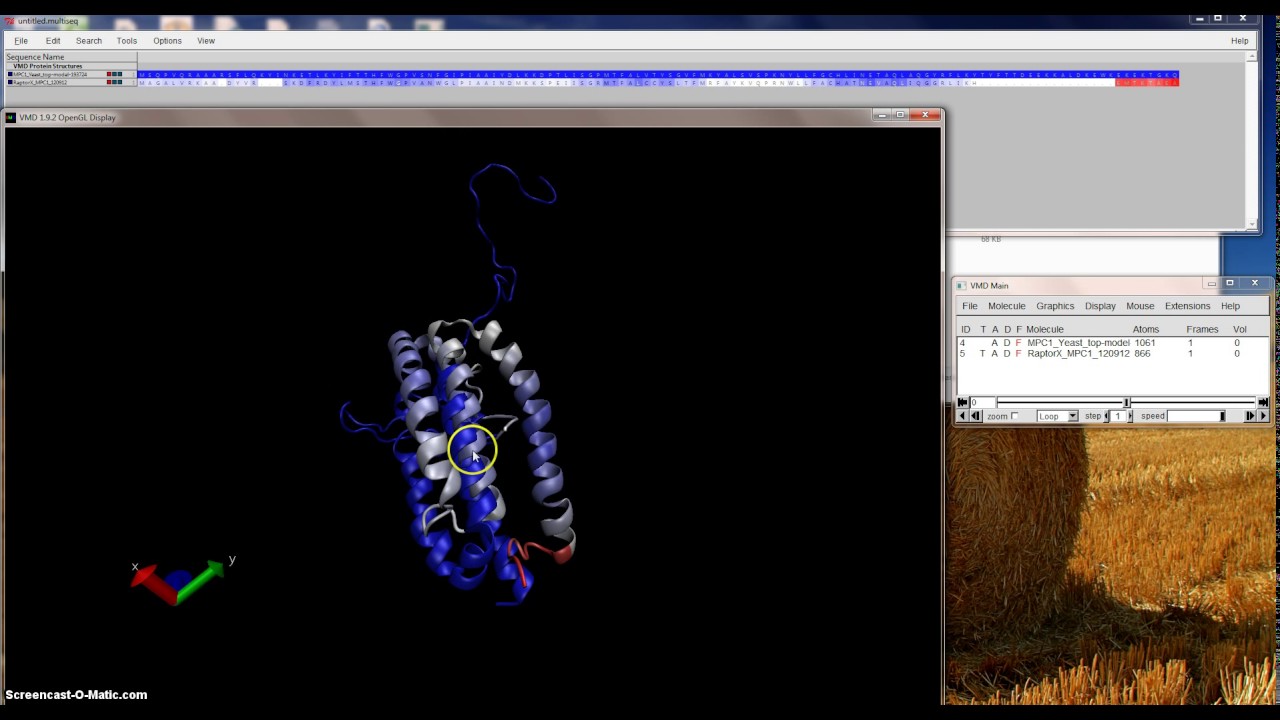 Vmd Multiseq Alignment Mpc1 2 10 2017 Youtube