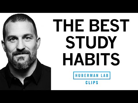 The Top Study Habits To Improve Learning Dr Andrew Huberman