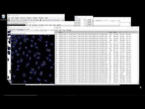 Quantification 5 Youtube
