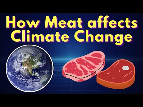 How Does Consumption Of Meat Affect Climate Change