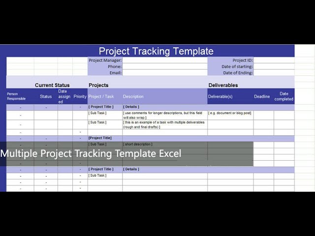 Multiple Project Report