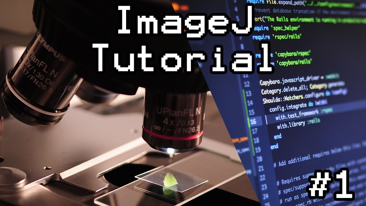 Imagej Z Stack Batch Processing For Research Youtube
