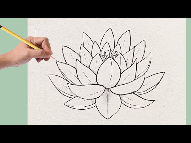 Como Desenhar Uma Flor De Lotus Passo A Passo Facil Padrão De Crochê