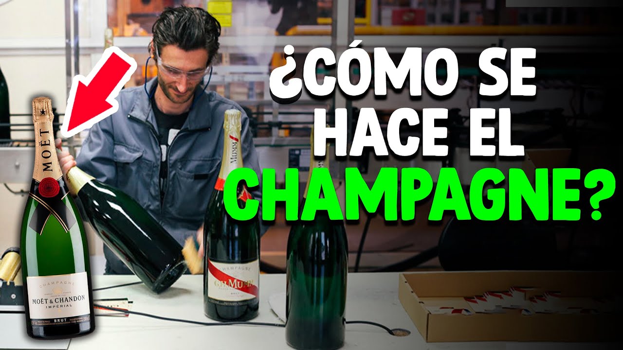Cómo Se Hace El Champagne Proceso En Fábrica Youtube