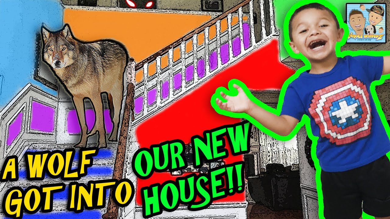 New House Tour We Found A House And Moved In We Have A New Pet