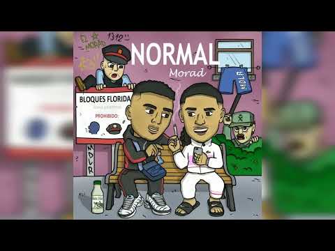 Morad Normal Youtube