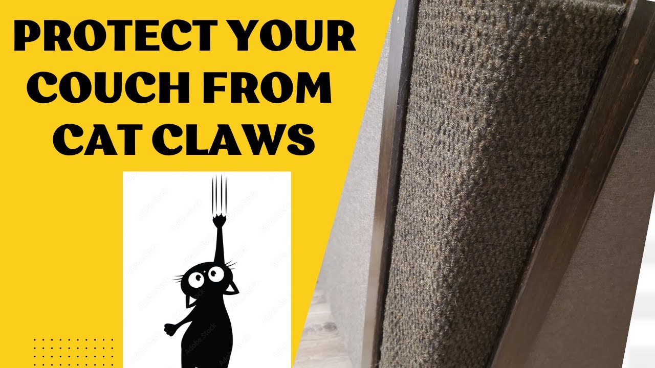 Protect Your Couch From Cat Claws Youtube