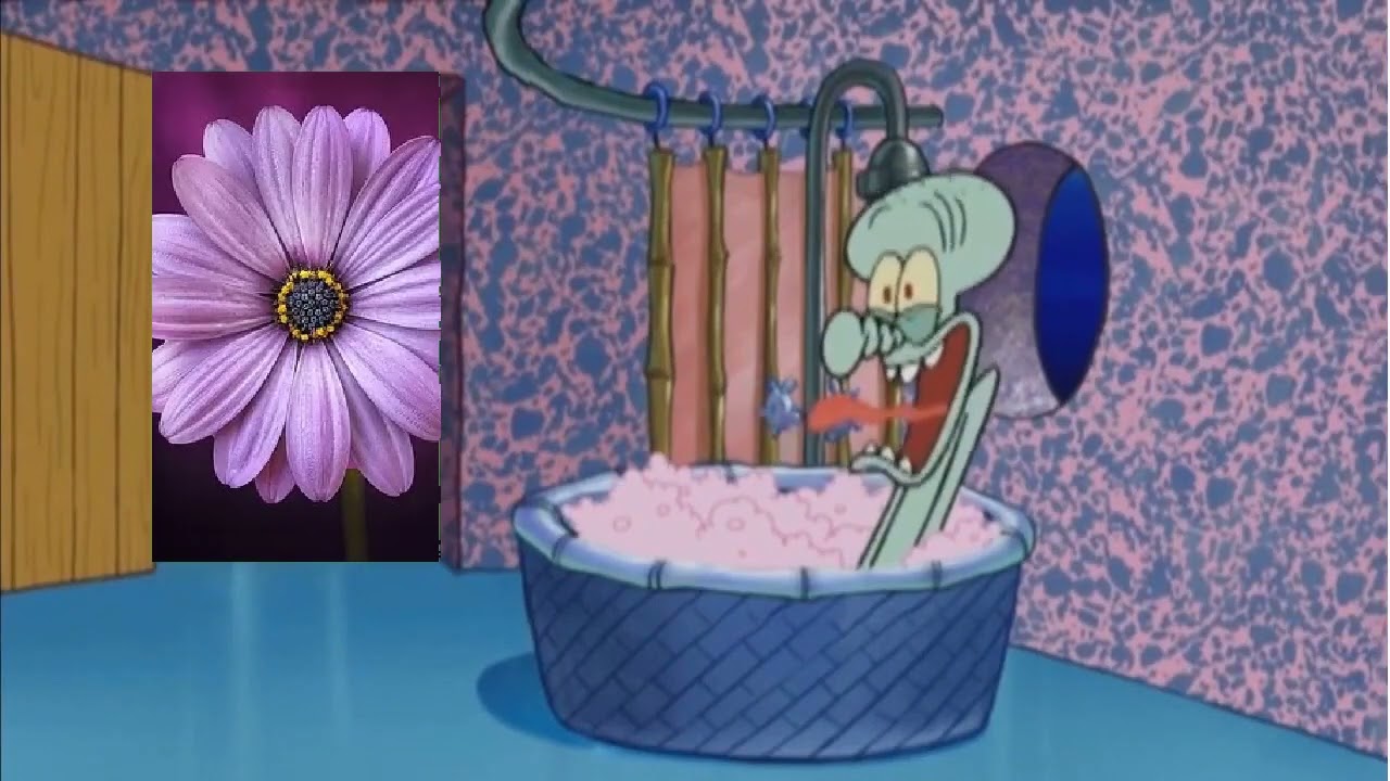 Squidward Meets Flower Youtube