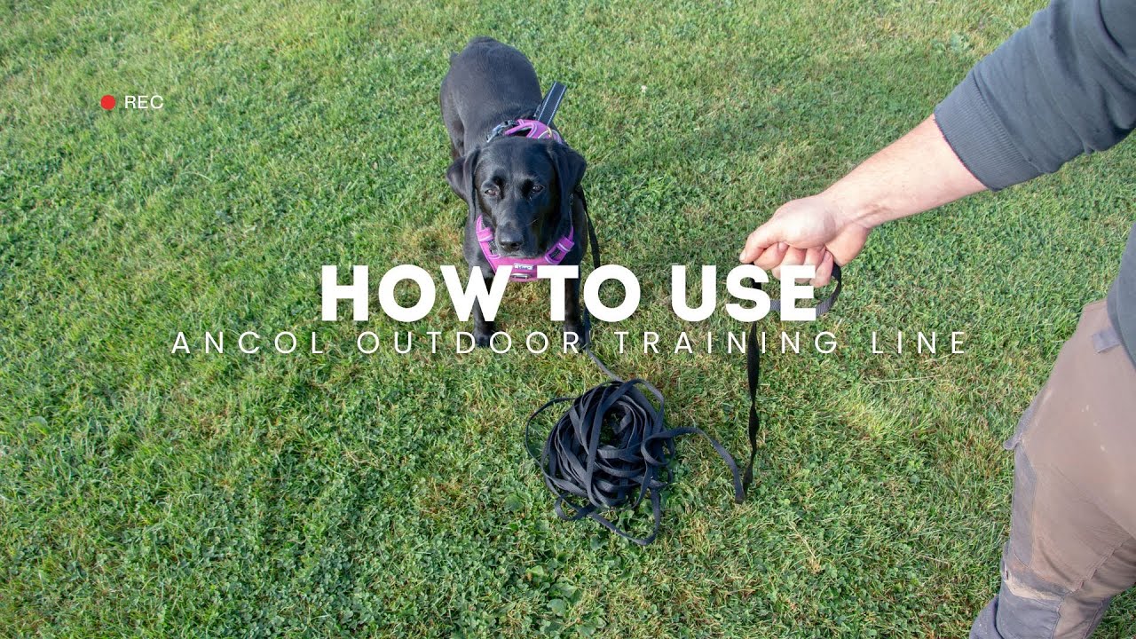 How To Use Anon Outdoor Training Line Youtube
