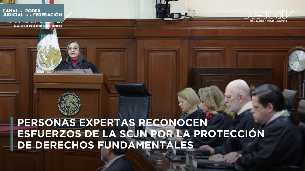 Personas Expertas Reconocen Esfuerzos De La Scjn Por La Protección De