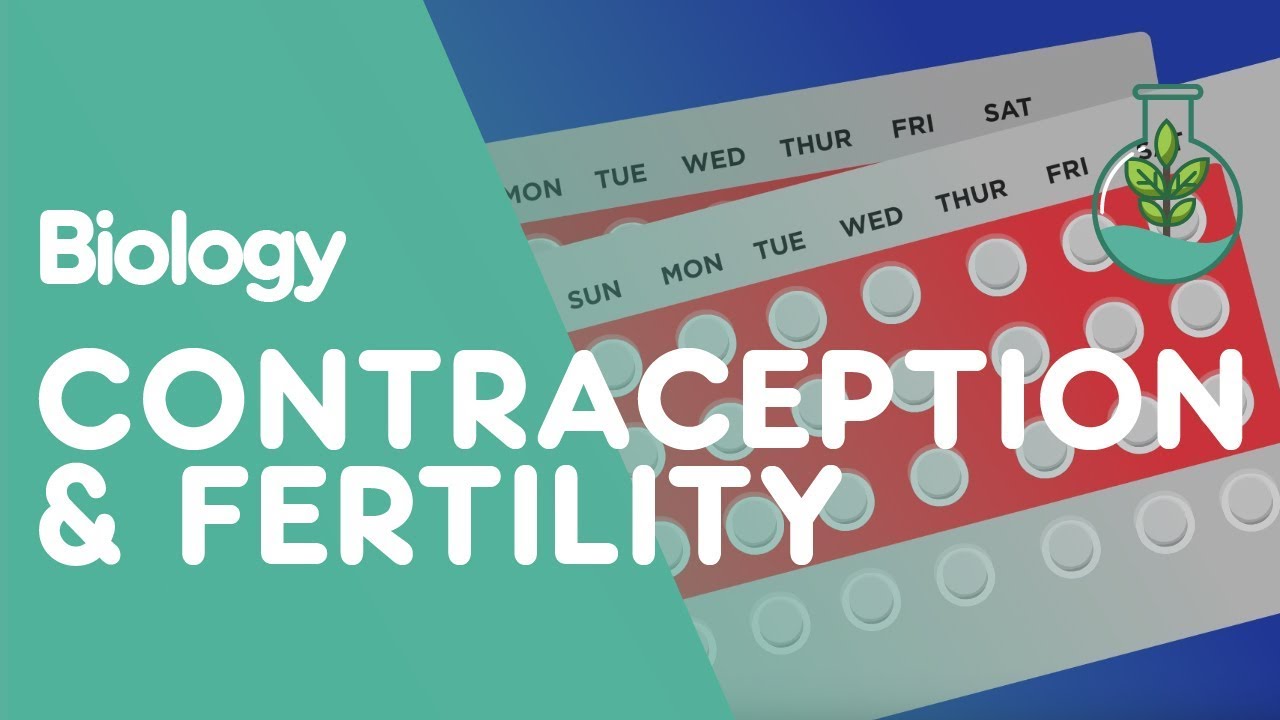 What Hormones Are Involved In Birth Control And Fertility One Young