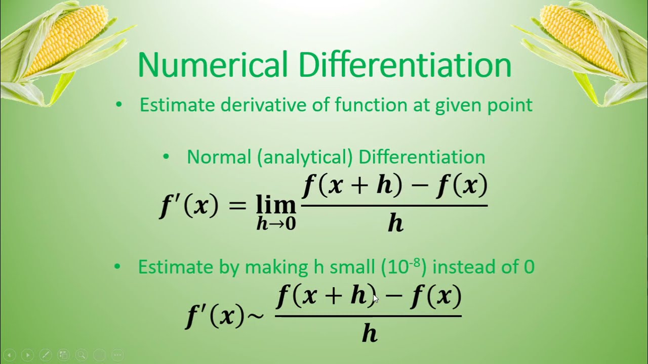 Numerical Differentiation Code Explained In 2 Minutes Learn