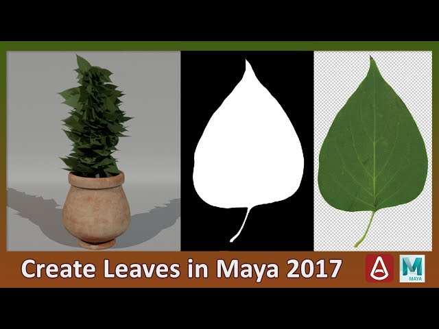 Textures Leaves Alpha Diffuse Map