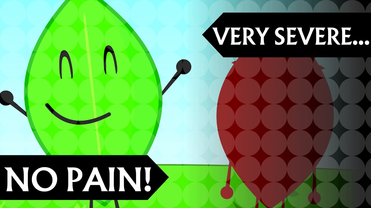 Bfdi Leafy S Pain Scale Youtube
