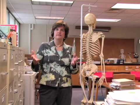 Forensic Science Criminal Justice Youtube