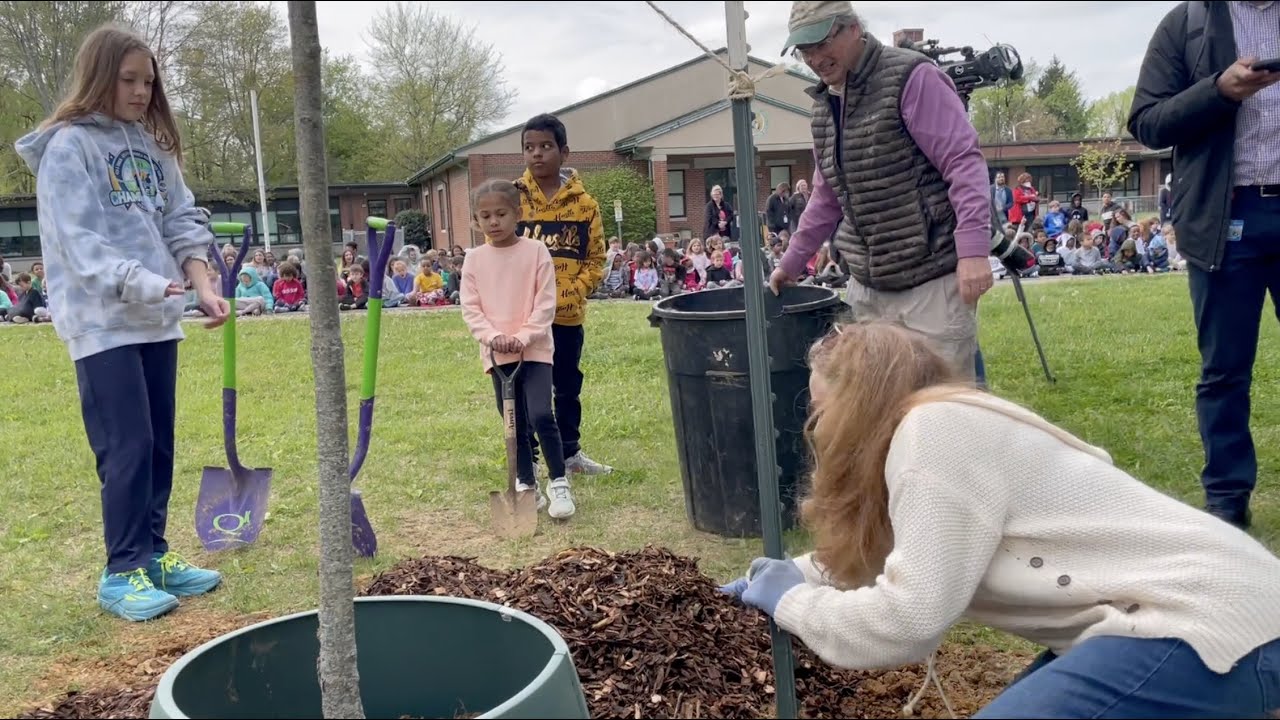 Wilder Elementary School Creating A Canopy Youtube