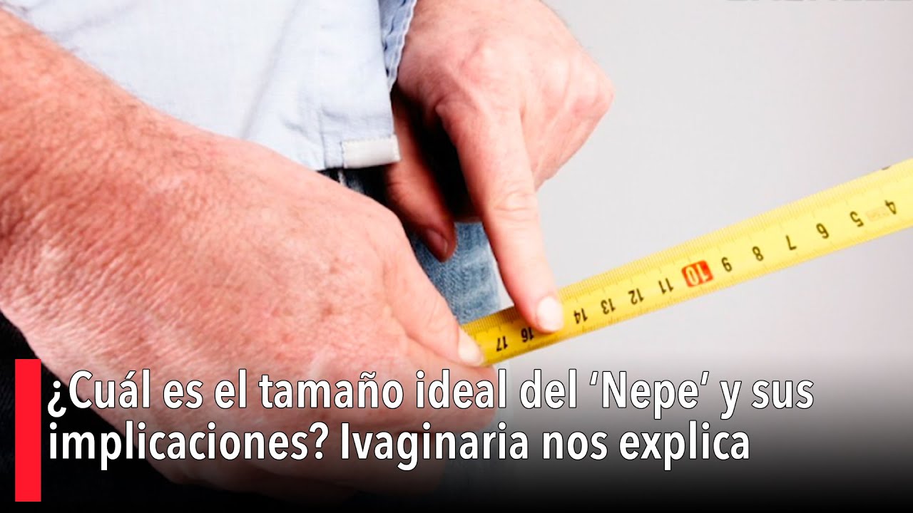 Cuál Es El Tamaño Ideal Del Nepe Y Sus Implicaciones Ivaginaria Nos